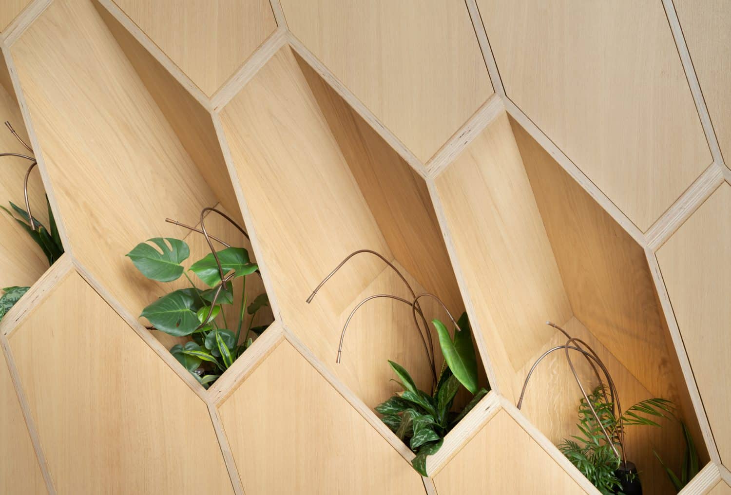 Interiors - Nex—Interior Designer for Distinct Atmospheres